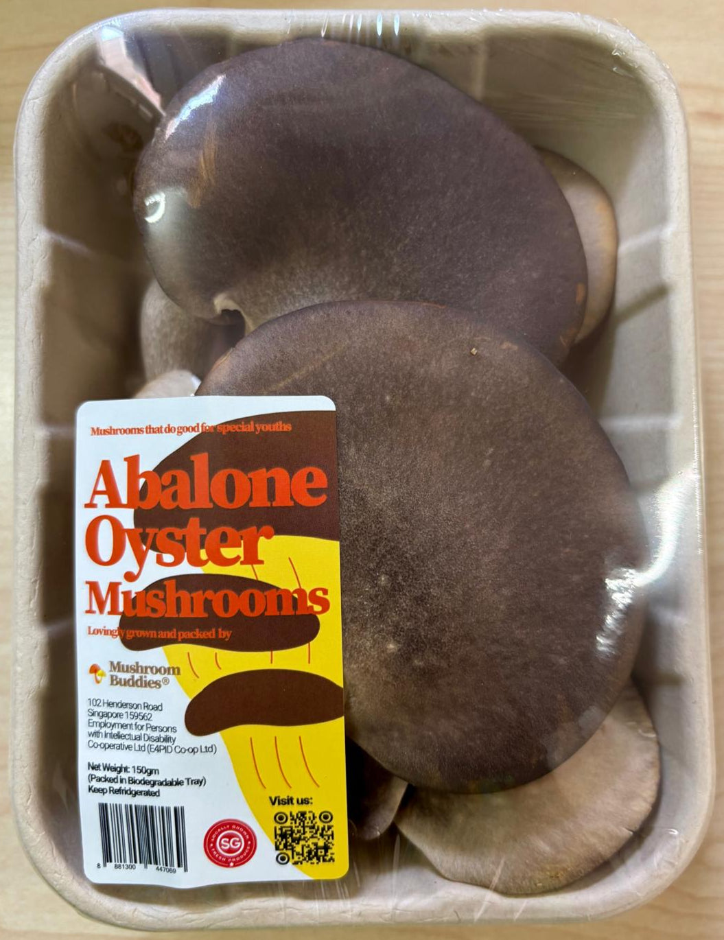 Abalone Oyster Mushrooms (150g ) – MushroomBuddies